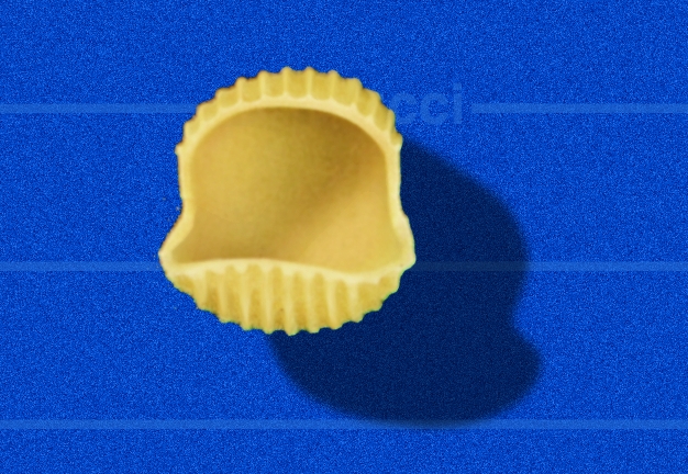 LANDUCCI TRAFILE PER PASTA : gusci 719