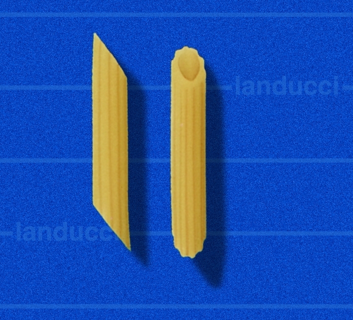 LANDUCCI TREFILAS PARA PASTA- Un punto de referencia en todo el mundo ...
