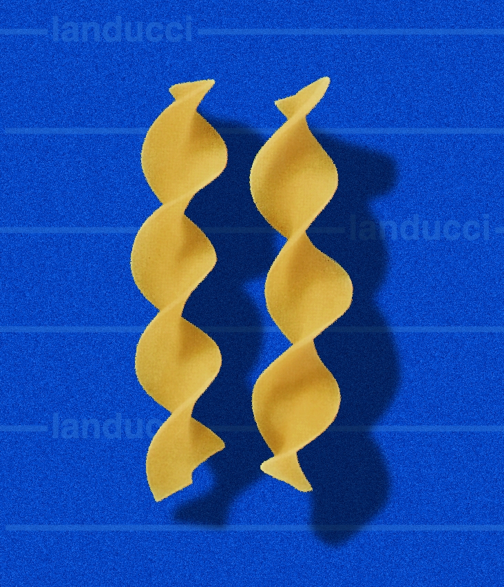 LANDUCCI TREFILAS PARA PASTA- Un punto de referencia en todo el mundo ...